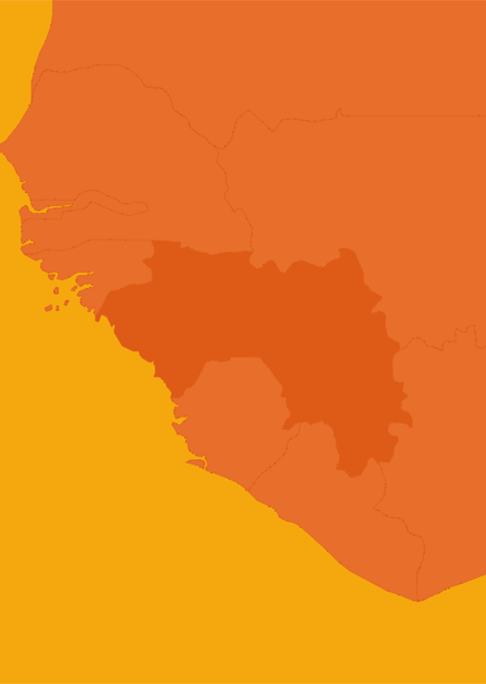 Employee benefits in Guinea